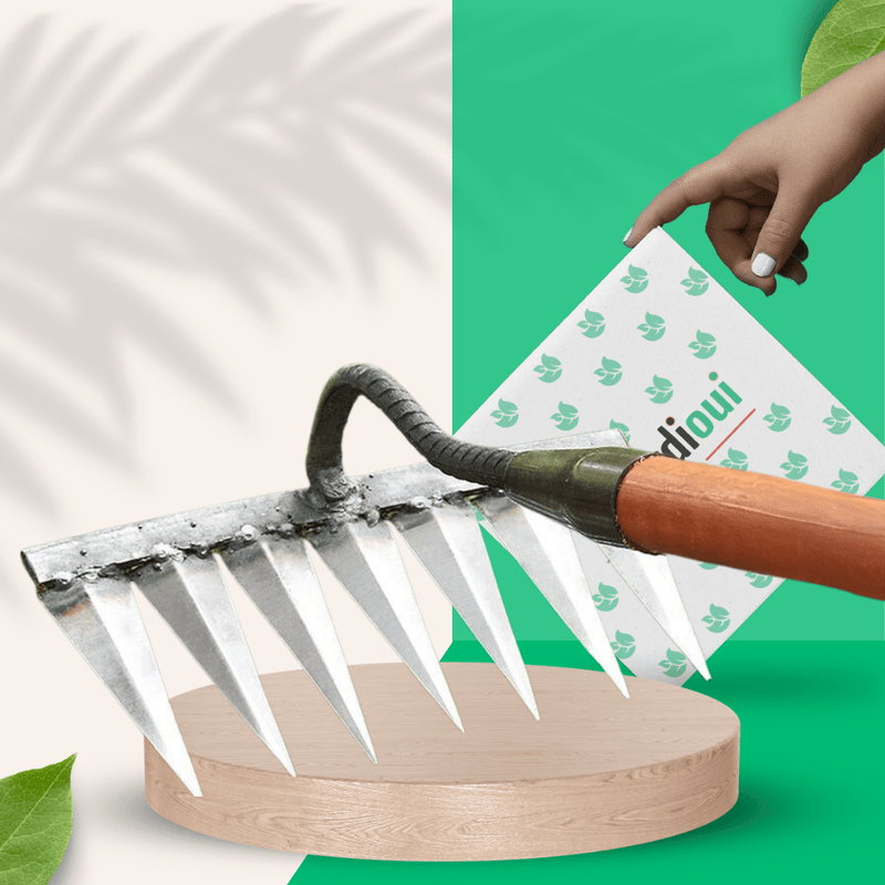 Jardioui - Jardioui | Rendons le jardinage accessible et amusant